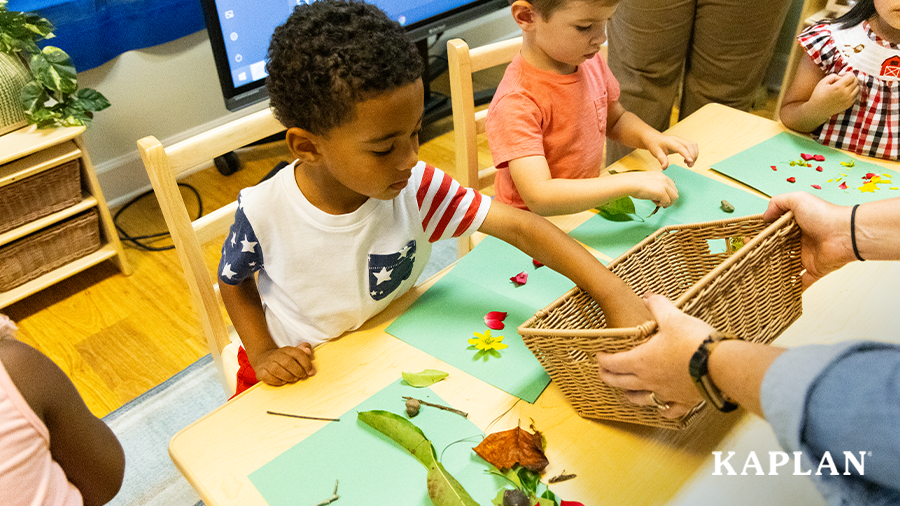 3 Nature-Themed Activities to Enrich Your Preschool Math and Literacy ...