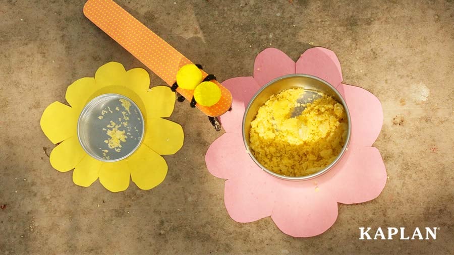 Bee Pollination STEAM Activity | Kaplan Early Learning Company