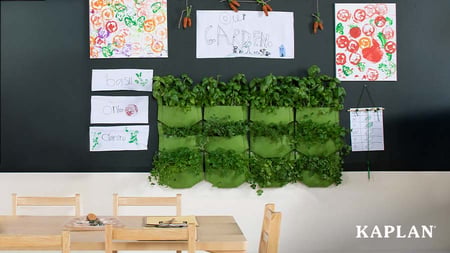 How To Design A Nature-inspired Classroom